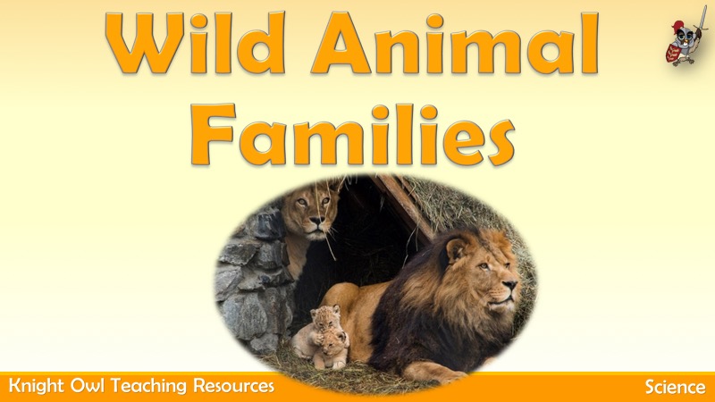Wild Animal Families